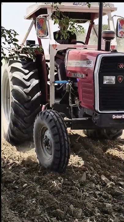 385 kiss kiss k favorite hai ️#farming #shortvideo #desiviilagelifetstyle #shortviral - YouTube