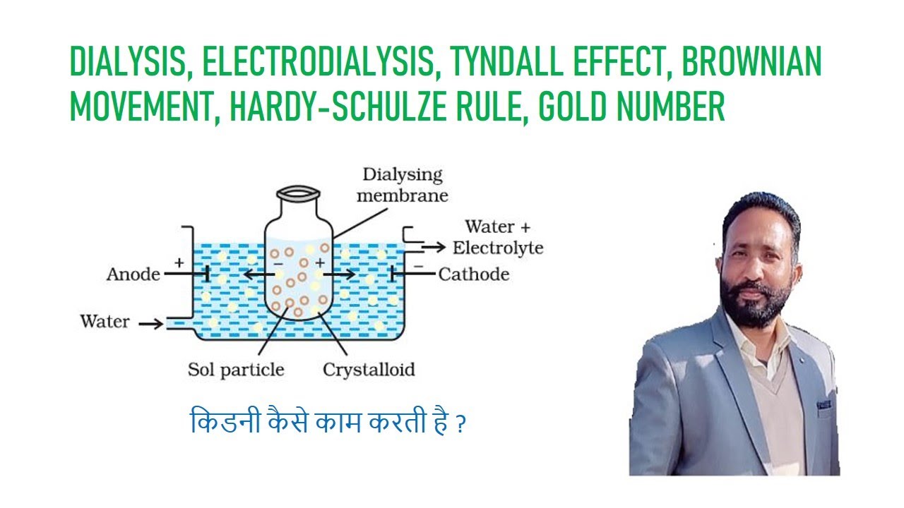 Dialysis, Electrodialysis, Tyndall effect, Brownian movement, Hardy ...