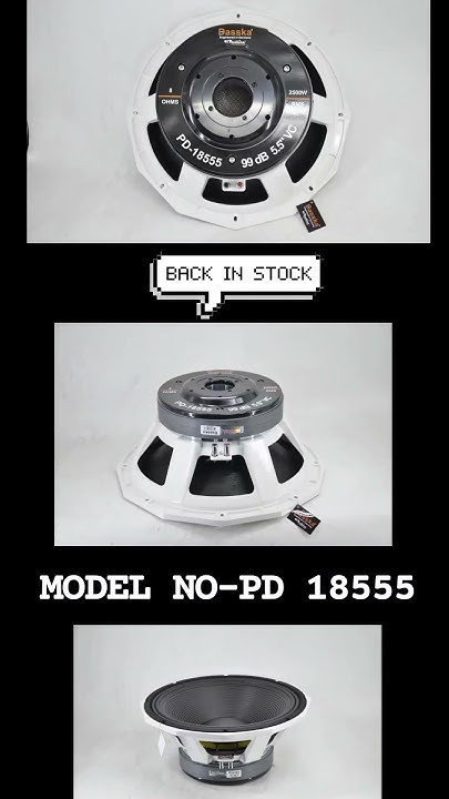 new video Daska PD 18"555" 2000w bahut best speaker" DVS sound - YouTube
