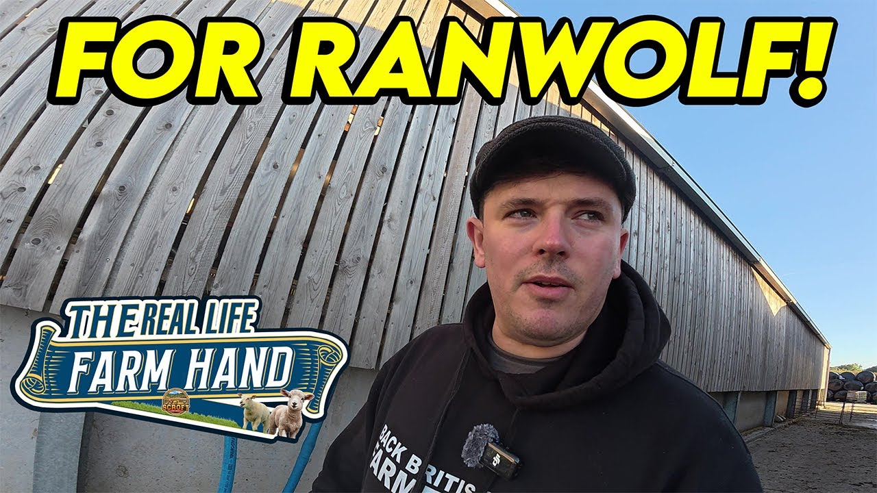 For RanWolf! (8th Sep 2025) | The Real Life Farm Hand Blog - YouTube