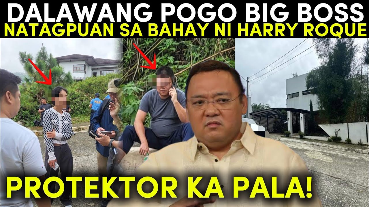 Bahay Ni Harry Roque Pinagtataguan Pala Ng Big Boss Ng Pogo Protektor Pala Sya Ng Pogo Youtube