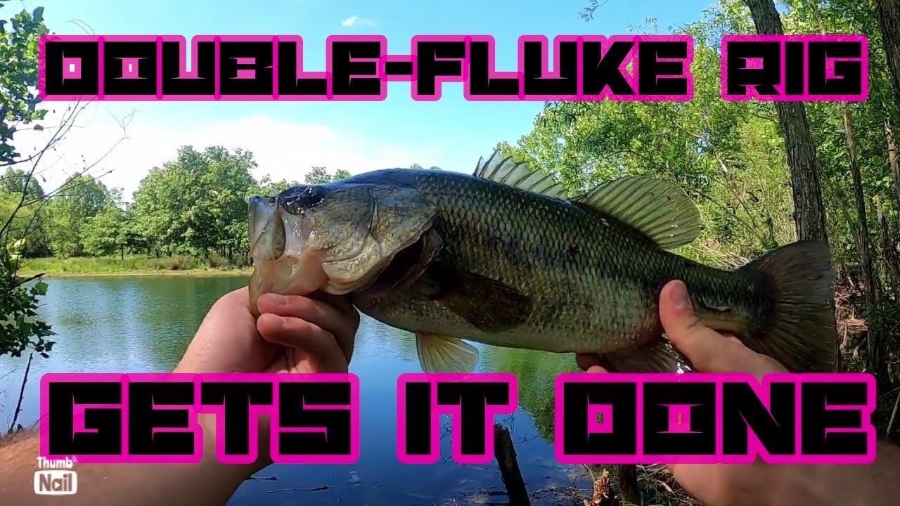 Catching Bass on the Double-Fluke Rig - YouTube
