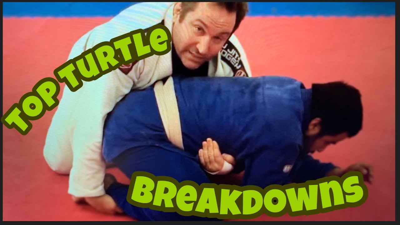 Turtle Position Breakdowns - YouTube