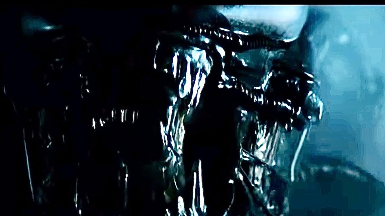 Alien (1979) || Frightened Cat Scene HD - YouTube