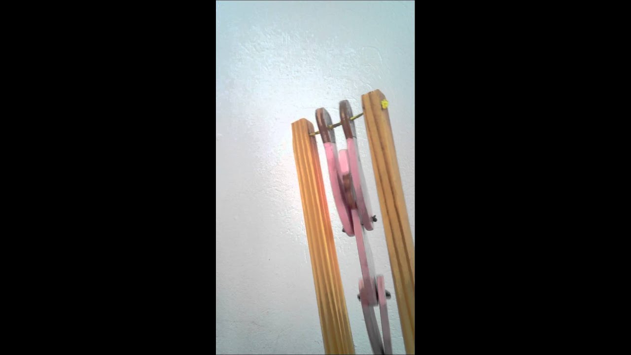 Acrobatic Monkey - YouTube