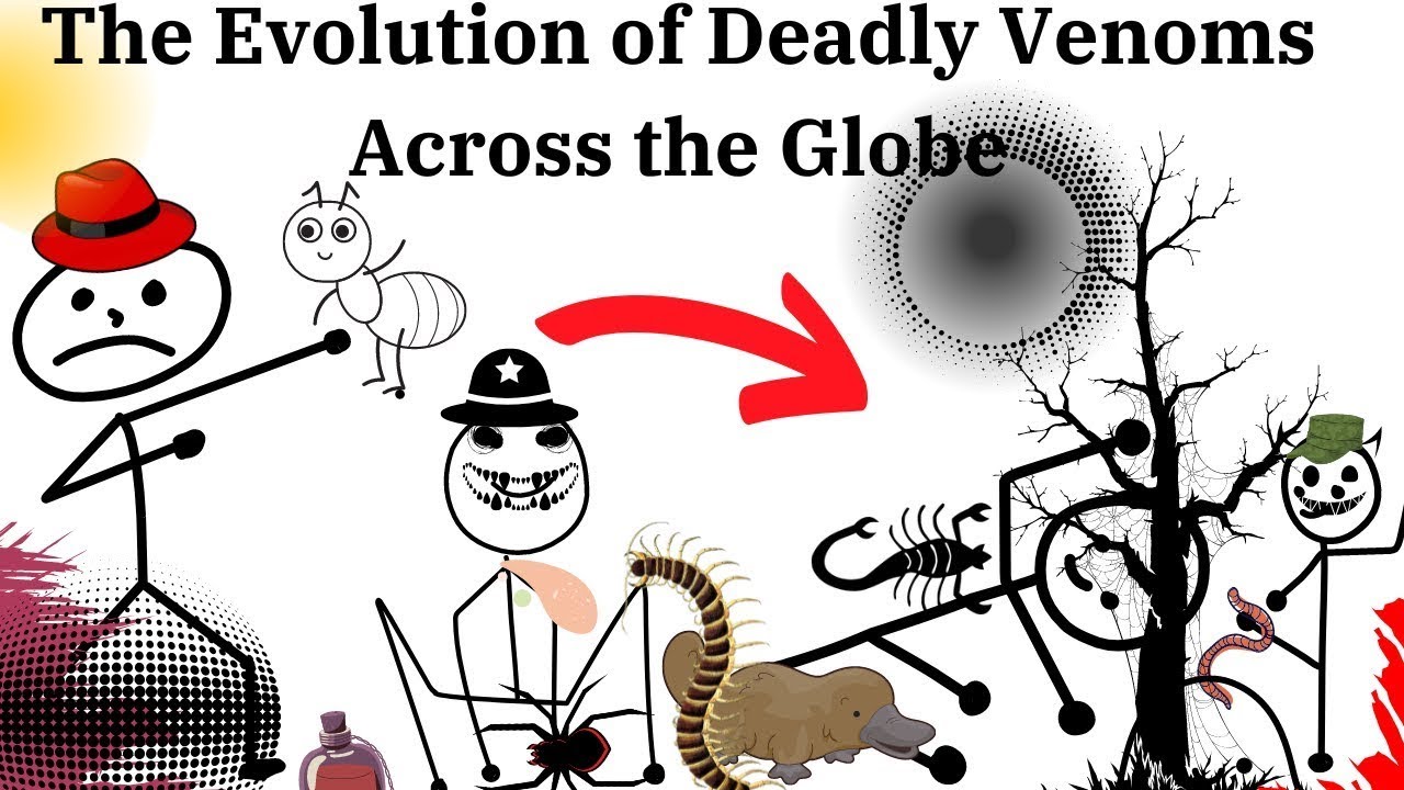 Origins Explained The Evolution of Deadly Venoms in the World - YouTube