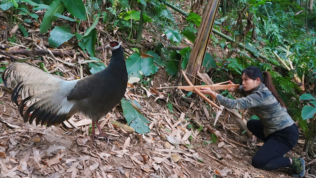 perfect shelter, winter survival, wild chicken hunting skills, survival ...