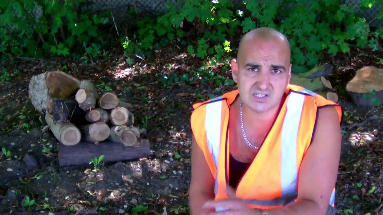 Dead wood and log piles - YouTube
