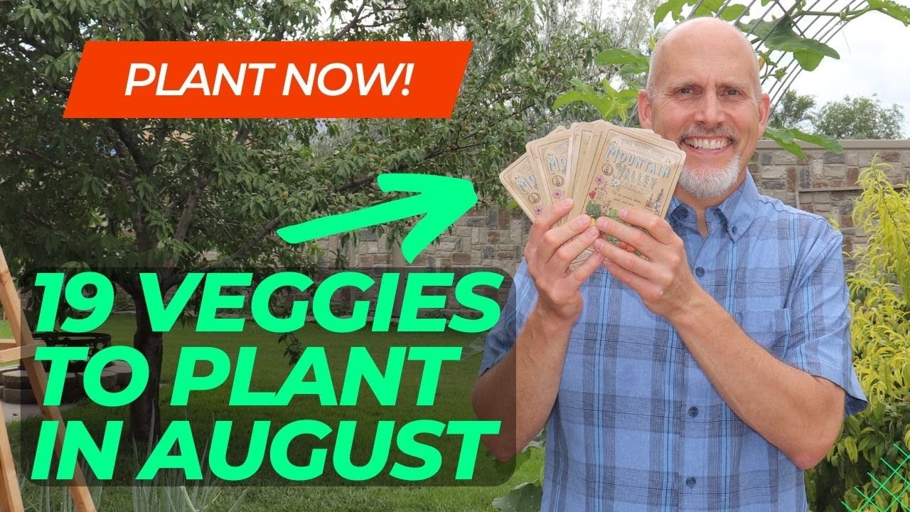 19 Vegetables You Can Plant in August for Fall and Winter Harvest - YouTube