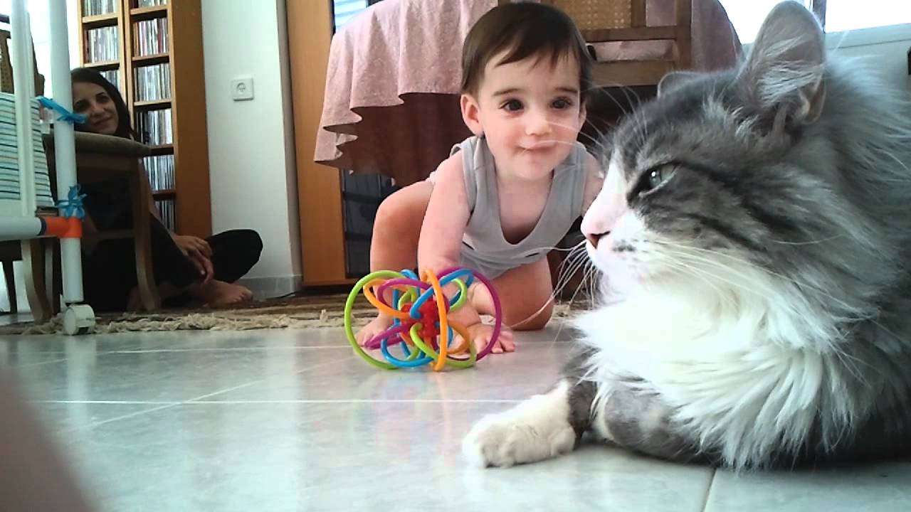 Garfield and Odie: the movie - YouTube