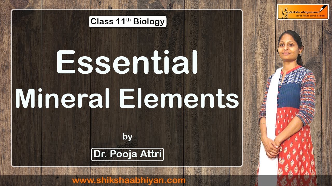 Biology Mineral Nutrition ( Essential Mineral Elements ) - #CBSE Class ...