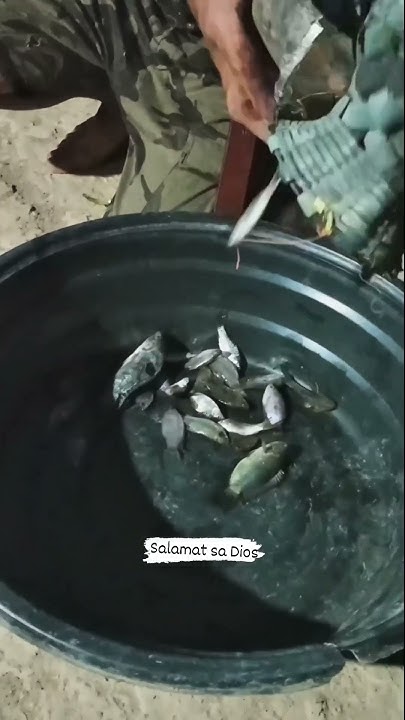 HULI ISDA SA DALA (LAMBAT) #mindoro #fishing - YouTube