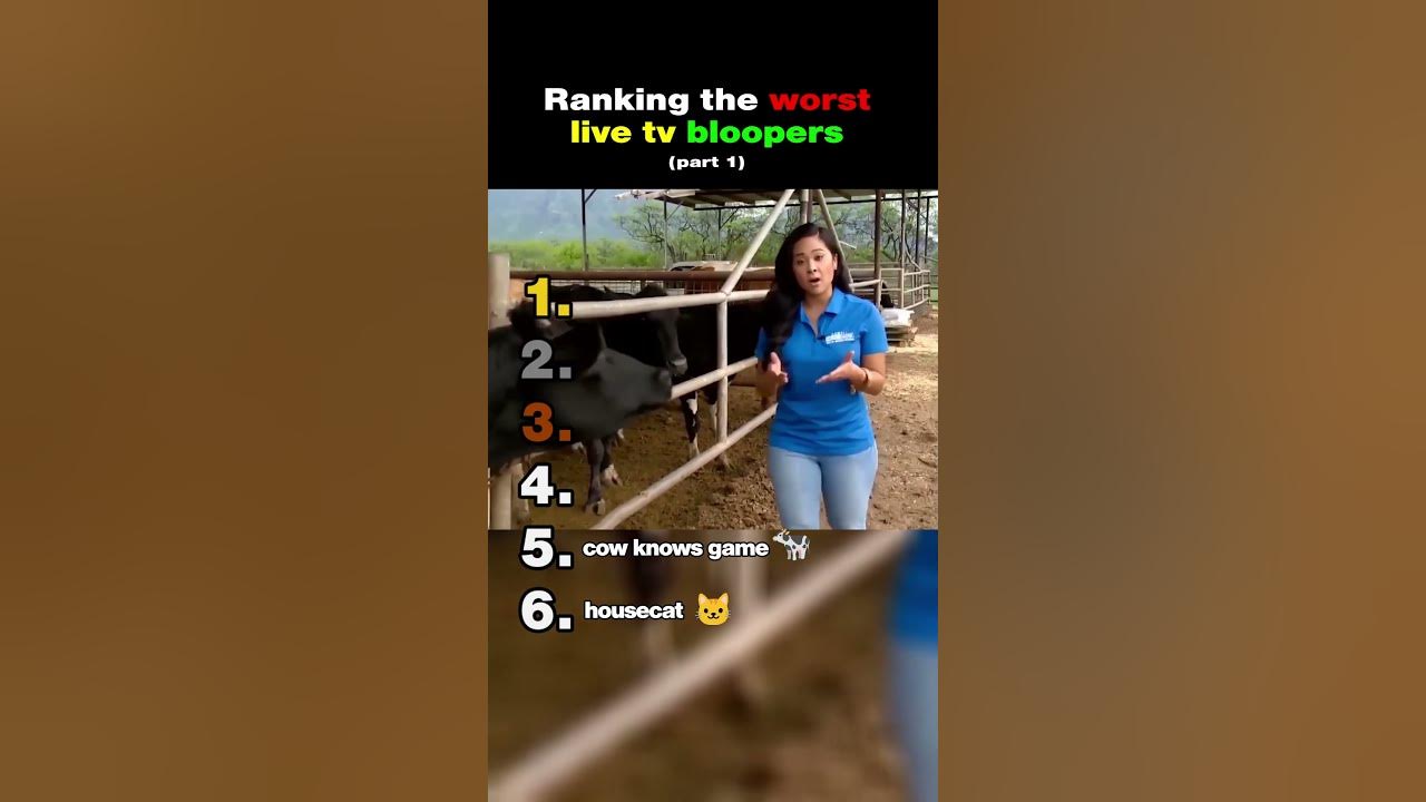 Ranking Funny Live TV Bloopers (HILARIOUS😂) - YouTube