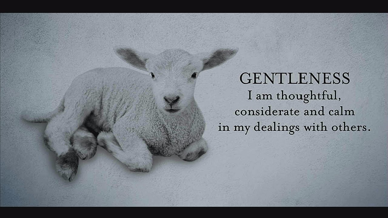 Gentleness: Strength or Weakness? - YouTube