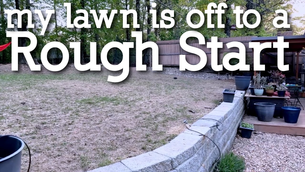 Rough Start, First Mow, and Upcoming Projects - YouTube