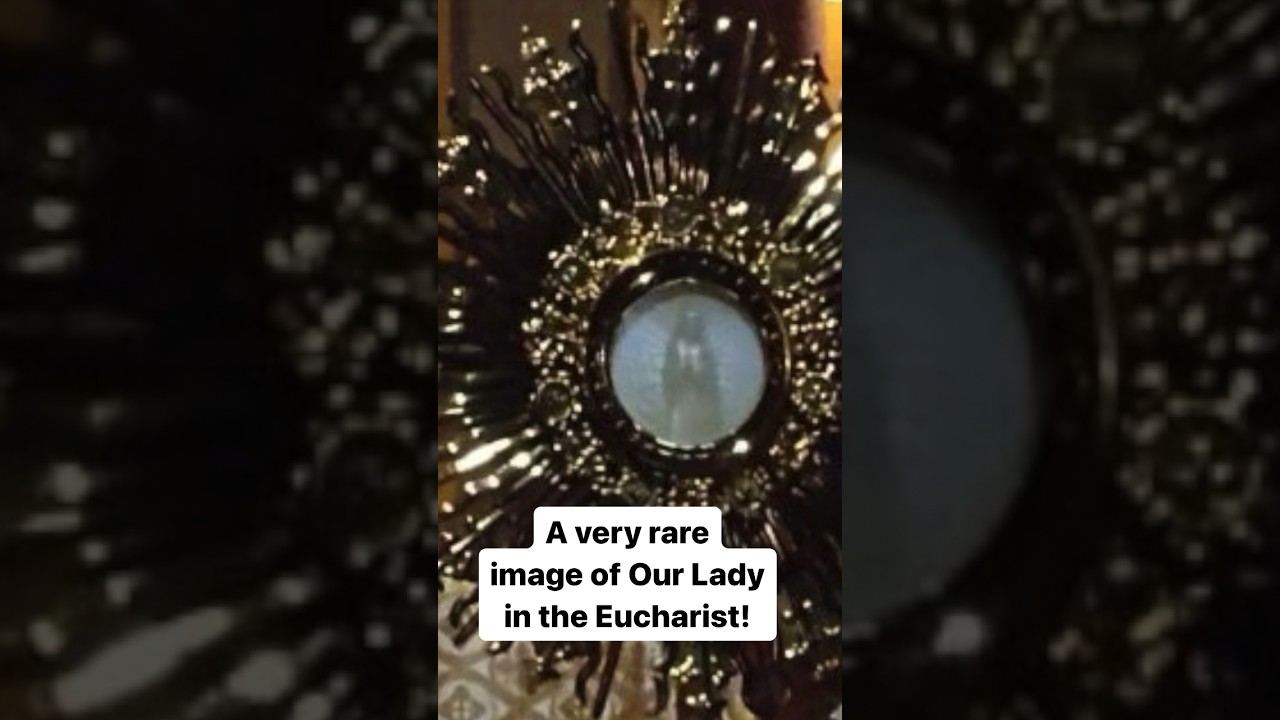 Very Rare Image Of Our Lady In The Eucharist Catholic VirginMary Very Rare Image Of Our Lady In The Eucharist Catholic VirginMary