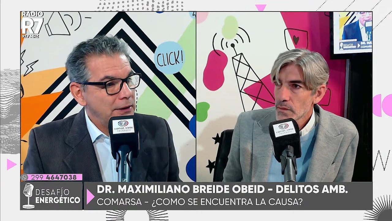 Caso Comarsa. Entrevista al fiscal de Delitos Ambientales, Dr ...