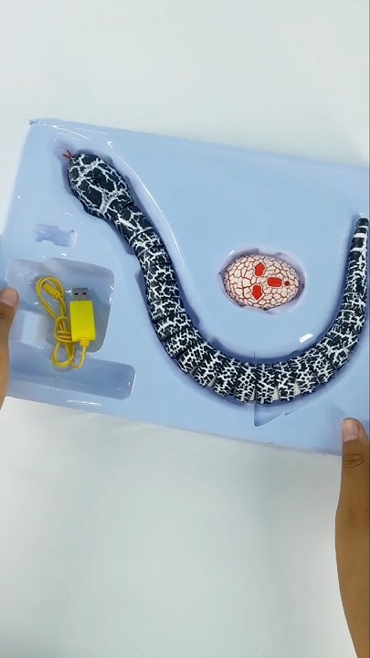 Rc Snake Unboxing 🐍 Remote Control Snake 🐍 Rc Gadgets 🐍 New Gadget 2025 ...