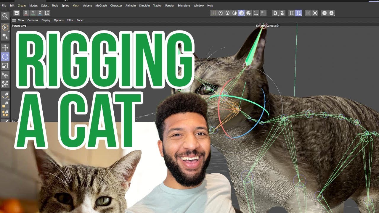 Rigging A Cat with Cinema 4d r25 - YouTube