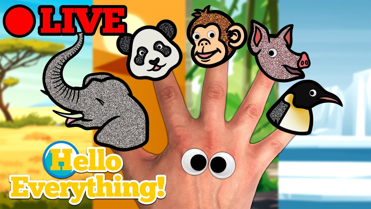 🔴 Hello Everything! 👀 Live Stream | Finger Family Nursery Rhymes ...