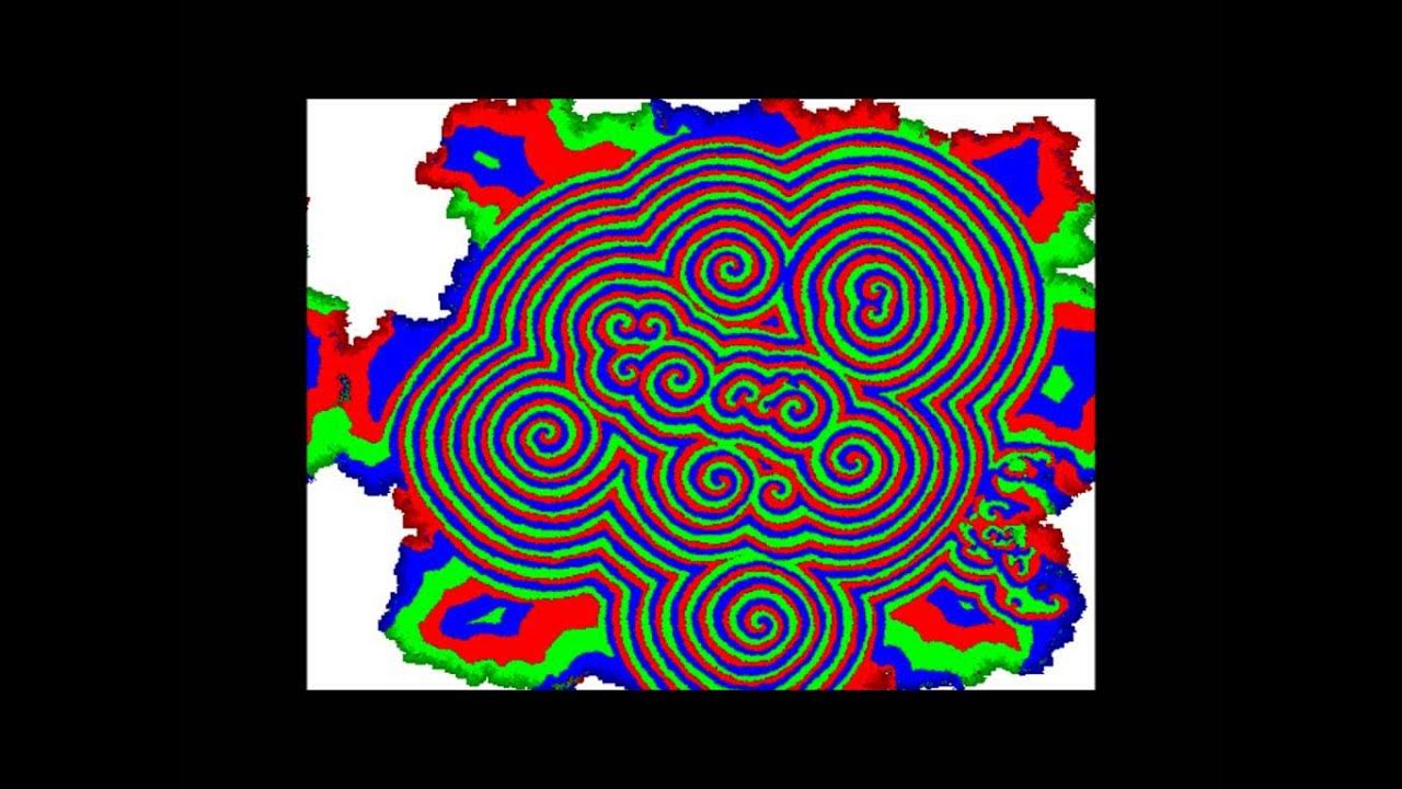 Rock Paper Scissors Cellular Automata (HD) - YouTube