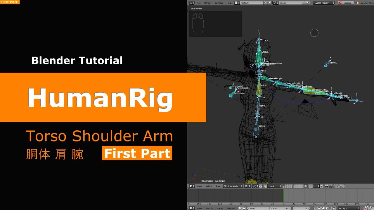[Blender(3DCG)] HumanRig - Tutorial (Torso Shoulder Arm) First Part ...