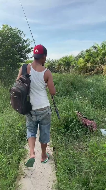 MANCING IKAN SILAIS DAPATNYA IKAN MATA MERAH #fishing #mancing #bolomancing - YouTube