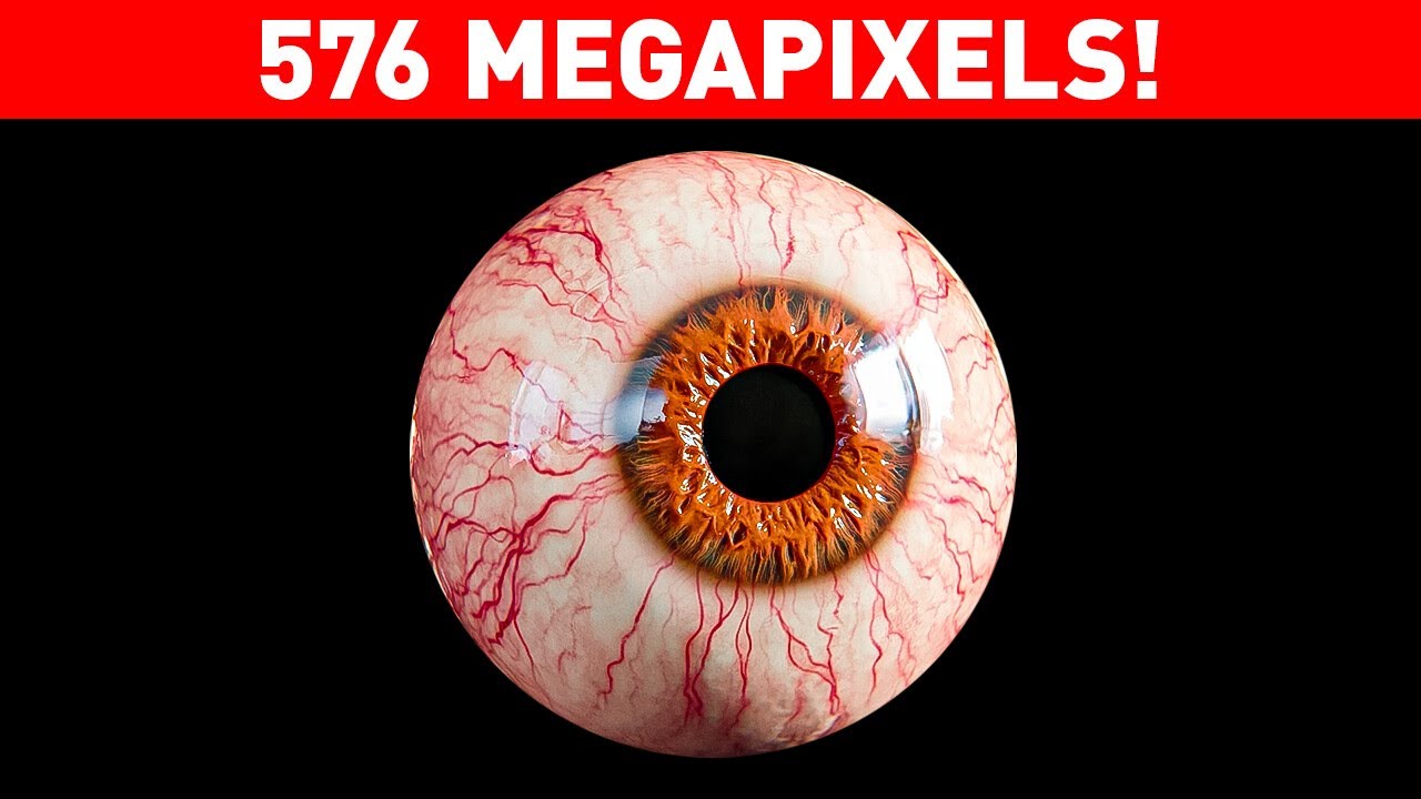 The Human Eye 👁️ Has 12 Times More Megapixels Than Your Best Camera ...