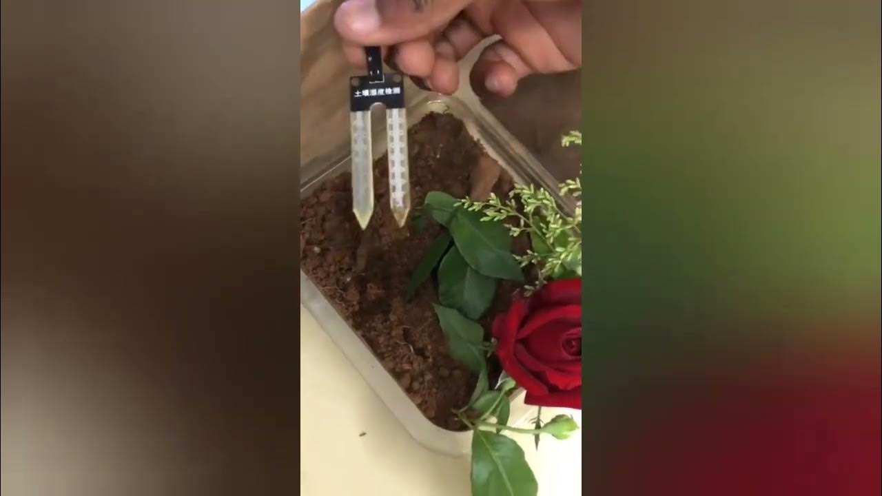 IOT Solar Greenhouse monitoring system(2) - YouTube