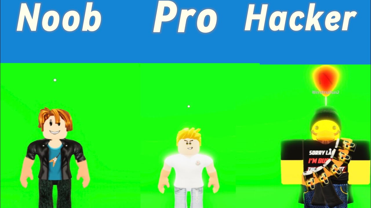 NOOB VS PRO VS HACKER - YouTube