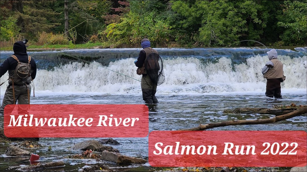 Milwaukee River Salmon Run 2022 (GoPro Edit) - YouTube