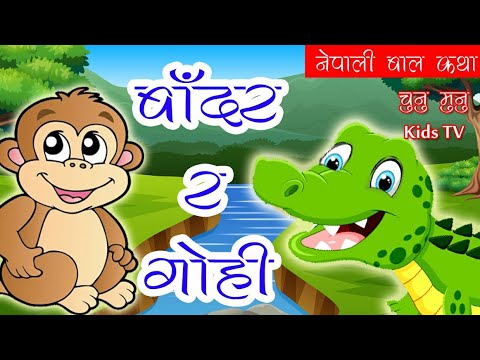 बाँदर र गाेही | Badar ra Gohi | नेपाली बालकथा | Nepali Kids Story # ...