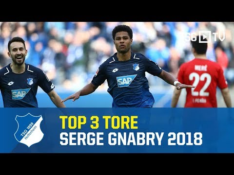 TSG Hoffenheim - Top 3 Goals Serge Gnabry 2018