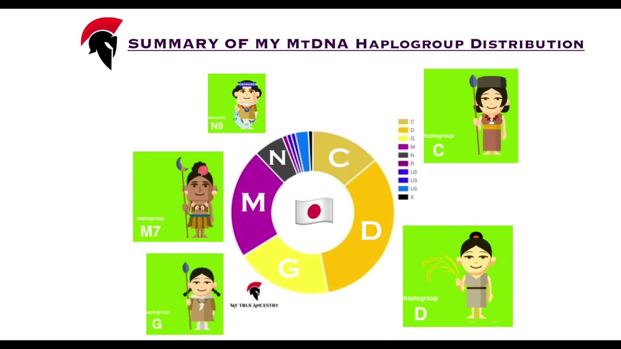 The Roots of a Japanese DNA / MyHeritage / MyTrueAncestry/ DNA test ...
