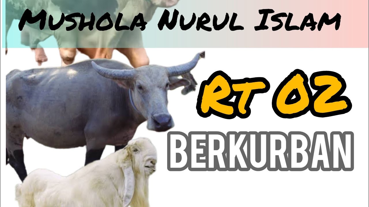 mushola Nurul Islam RT 02 #hewankurban #hewanpeliharaan #fyp #youtubeshorts - YouTube