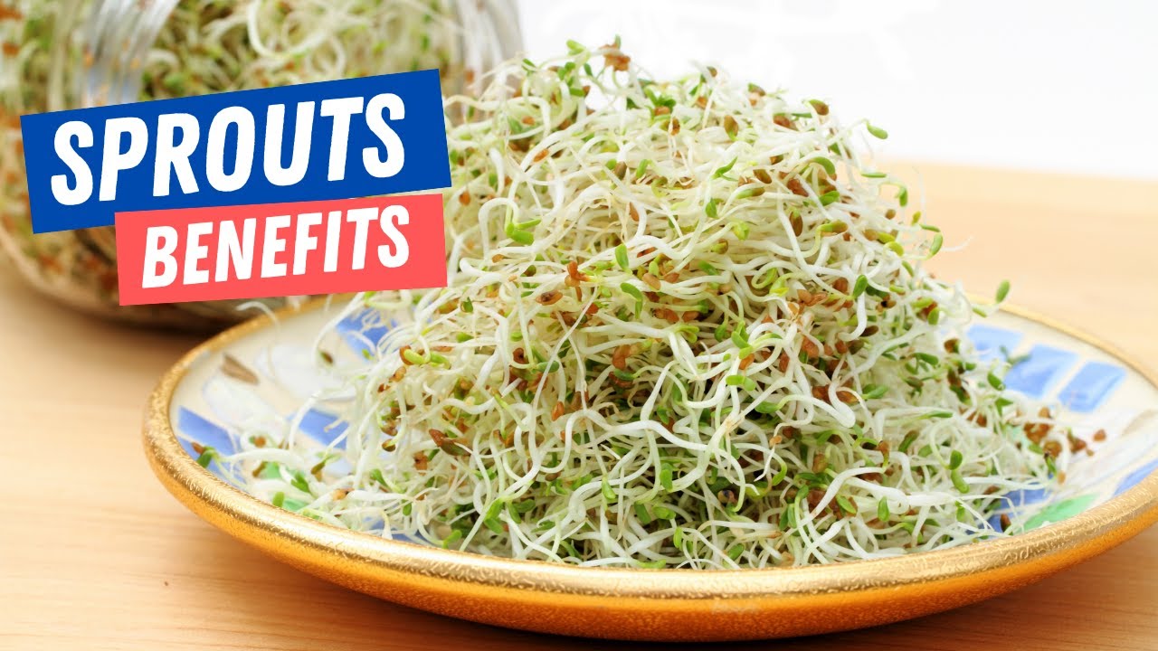 What Are Sprouted Grains and Why Should You Be Eating Them - YouTube