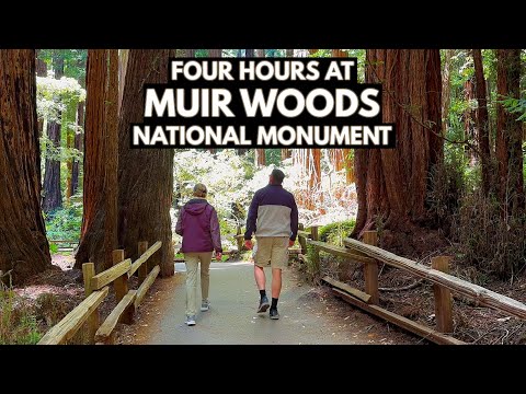 An Overview of Muir Woods National Monument - YouTube