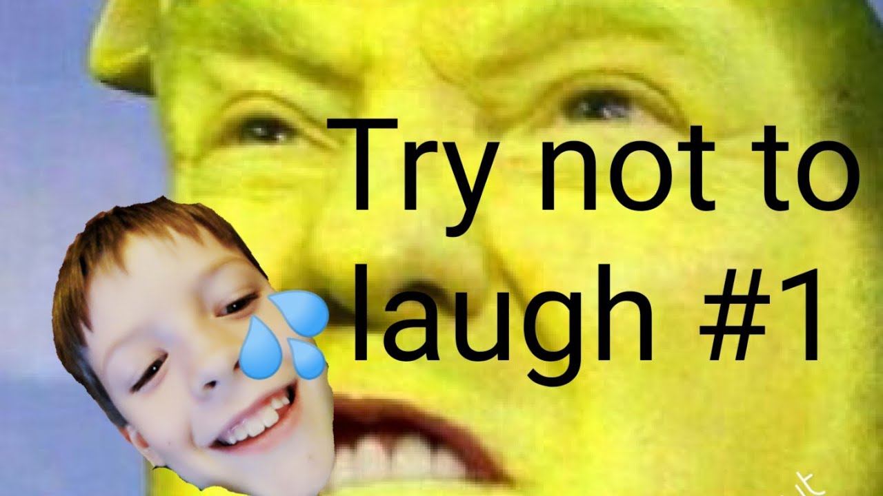Try not to laugh challenge 😂 - YouTube