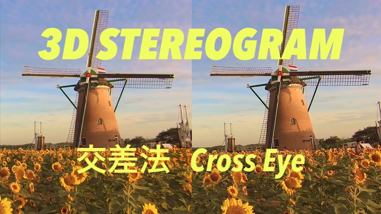 STEREOGRAM (Cross Eye 3D) | 交差法☆ステレオグラム | C20 STEREOSCOPIC - YouTube