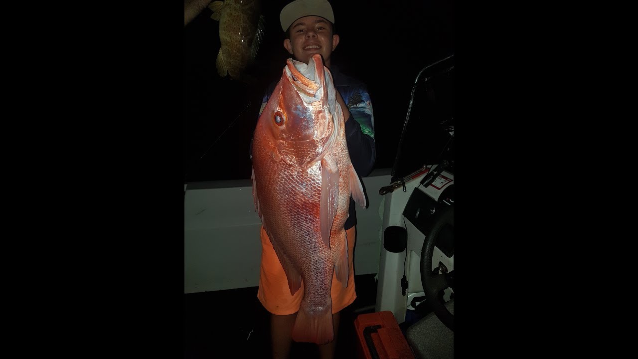 Catching Monster Fish FNQ!!! - YouTube