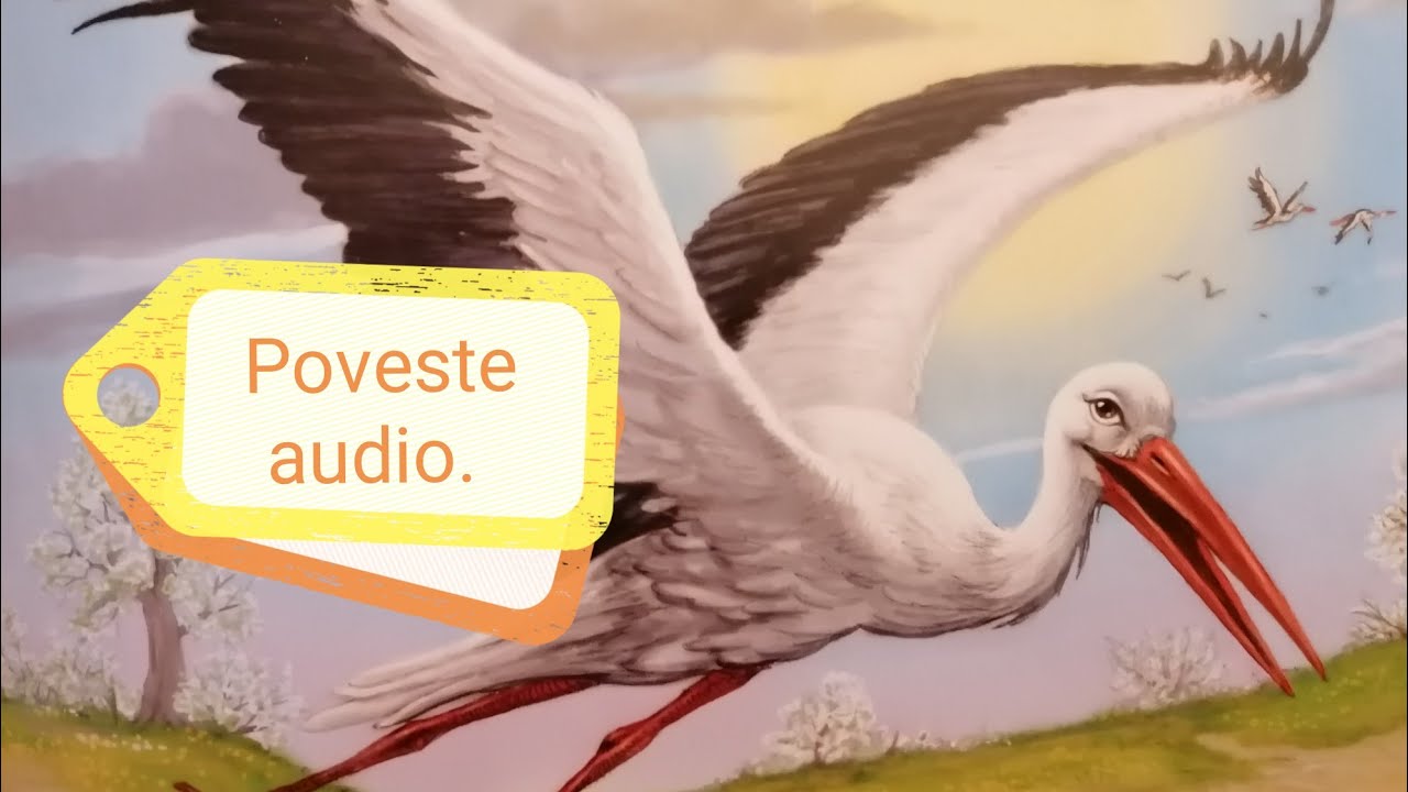 Barza Rătăcită. Poveste cu Animale pentru Copii. Povesti Audio Online ...