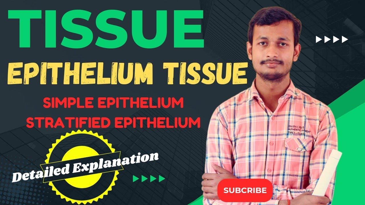 TISSUE EPITHELIAL TISSUE IN HINDI PART 01 YouTube tissue-epithelial-tissue-in-hindi-part-01-youtube