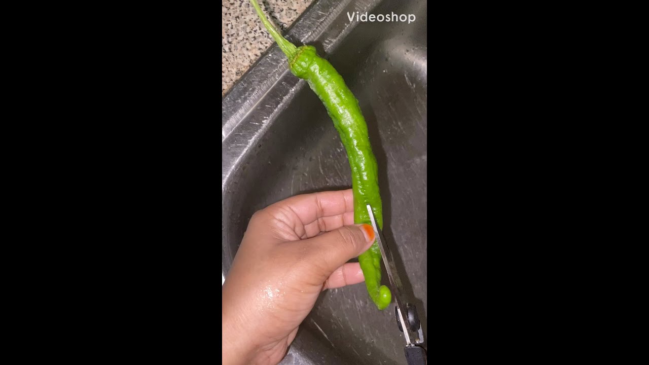 Simple and tasty green chilli fry recipe. - YouTube