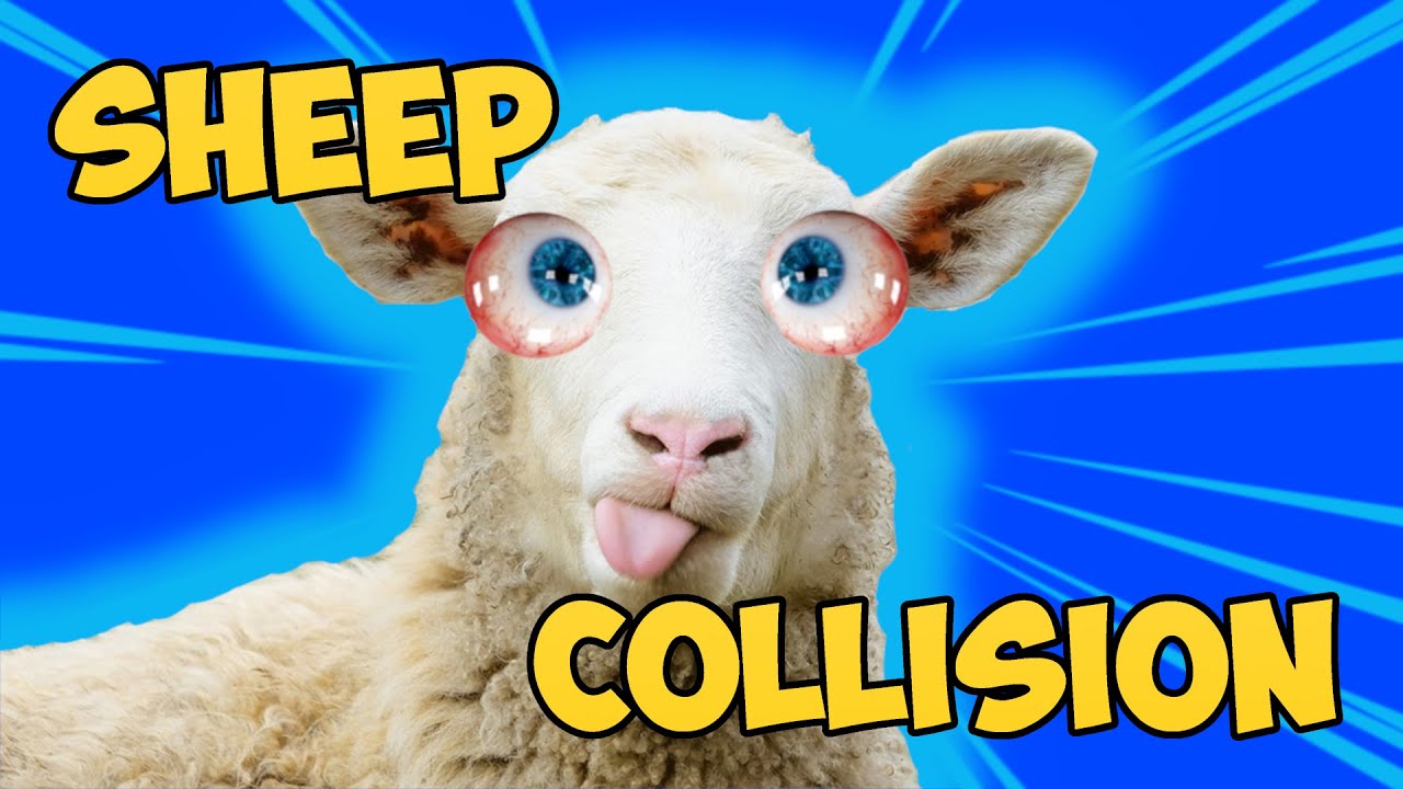 Sheep Collision | A SHEEP FIGHTING INDIE GAME WITH FRIENDS! - YouTube