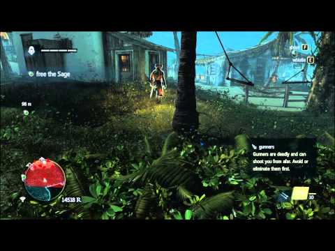 Assassin's Creed IV Black Flag Part 7