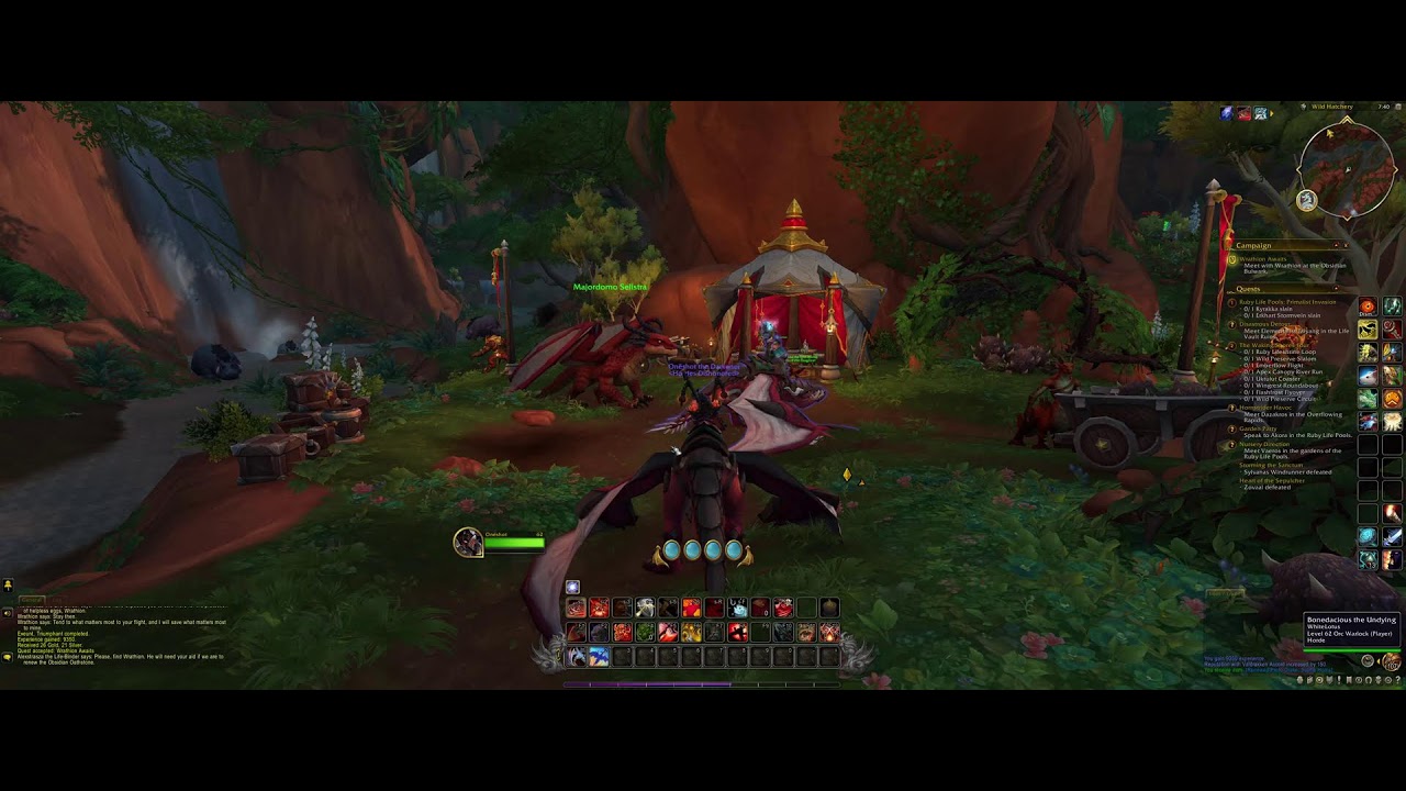 Knight Howler Live Stream - YouTube