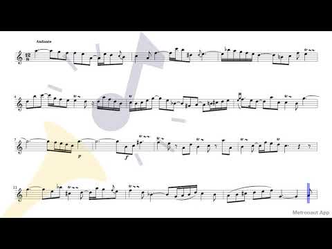 Carl Philipp Emanuel Bach - Flute Sonata H.555 - I. Andante