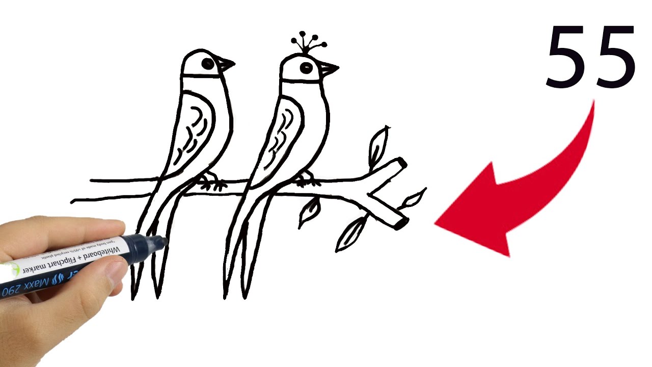 How to draw 2 birds from number 55 | Step by step - YouTube