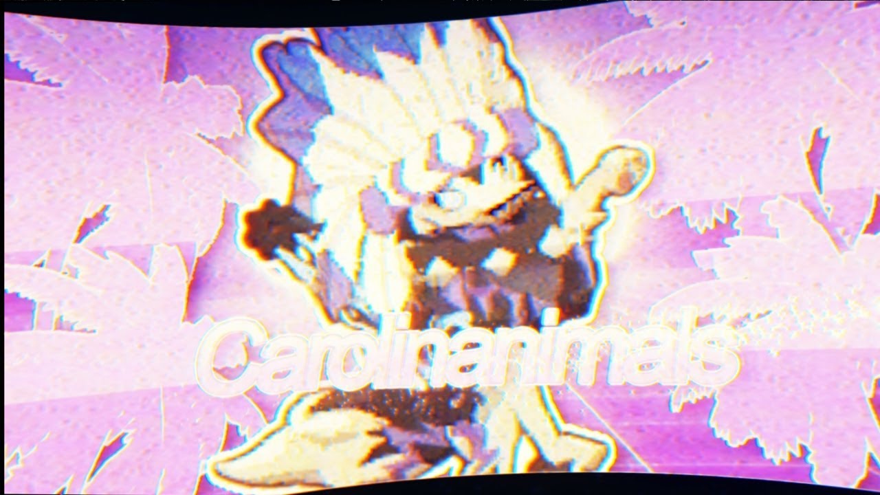 carolinanimals' intro // [c] - YouTube