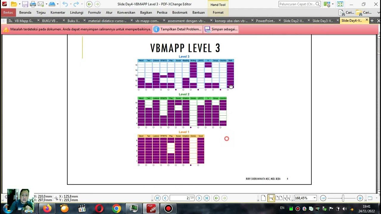 Mengisi VB MAPP Online Pada Milestones Mand & Tact di vbmappapp.com ...